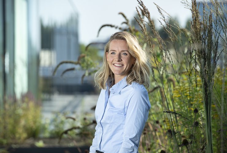 Mergers & Acquisitions | Deloitte careers