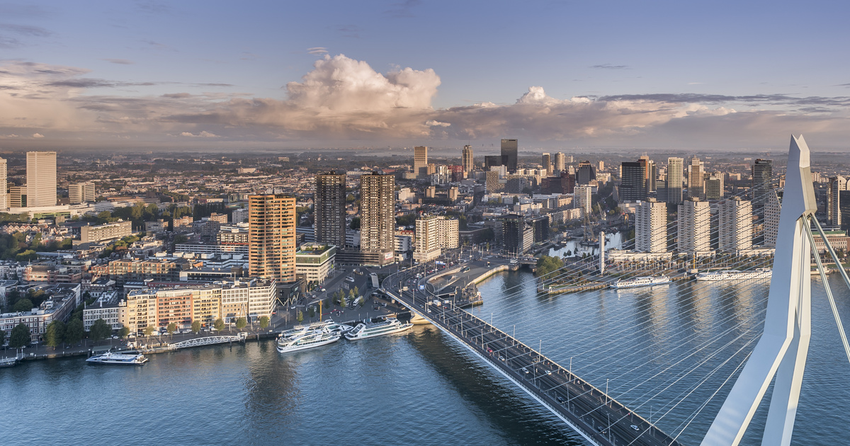 Resultaten pagina 1/2 voor Vacatures | Werken voor Rotterdam