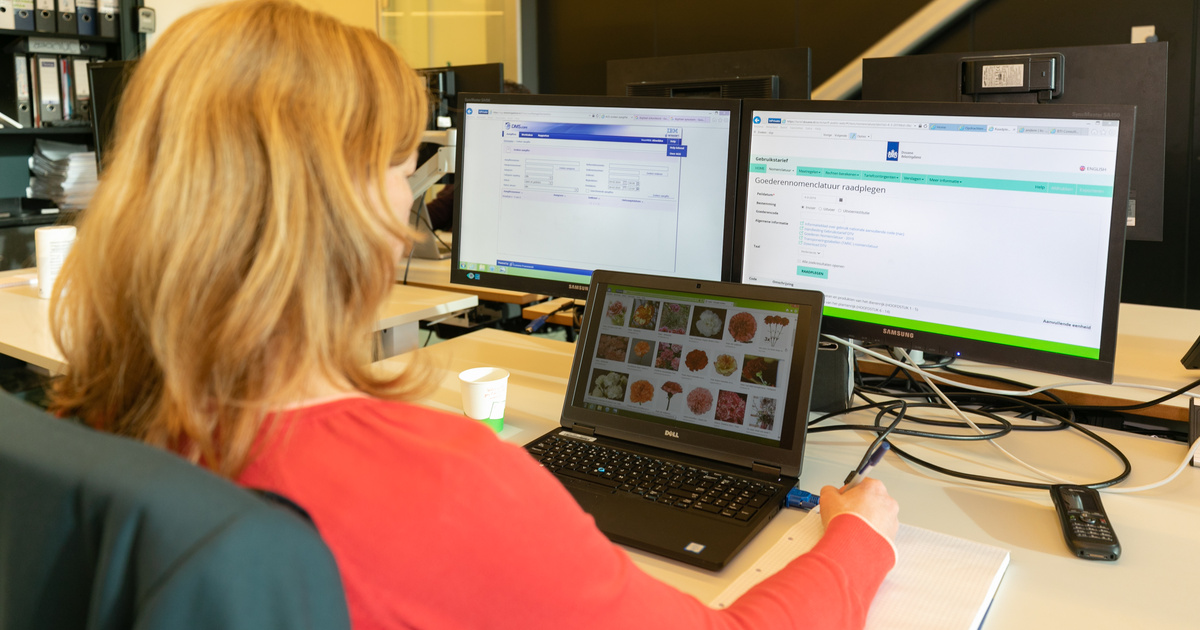 Marinka is Medewerker aangiftebehandeling Douan... | Werken bij de Douane