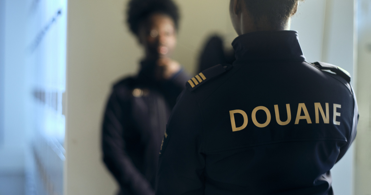 IT Auditor Douane Eindhoven | Werken bij de Douane