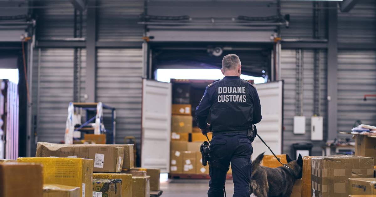 Werken bij de Douane | Werken bij de Douane